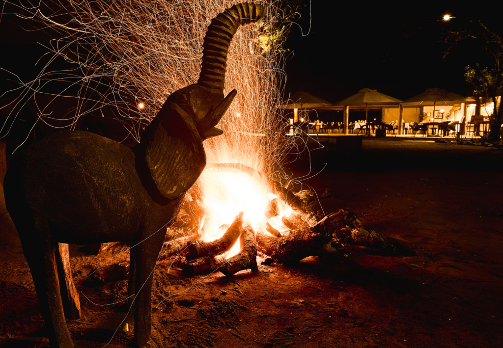 Tembe Elephant Park Live Stream - Africam live camera based in ...