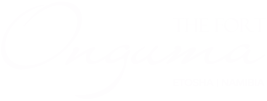 Africam Locations - Our cameras stream wildlife live from South Africa ...