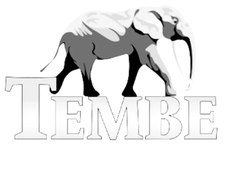 Tembe Elephant Park Live Stream - Africam live camera based in ...